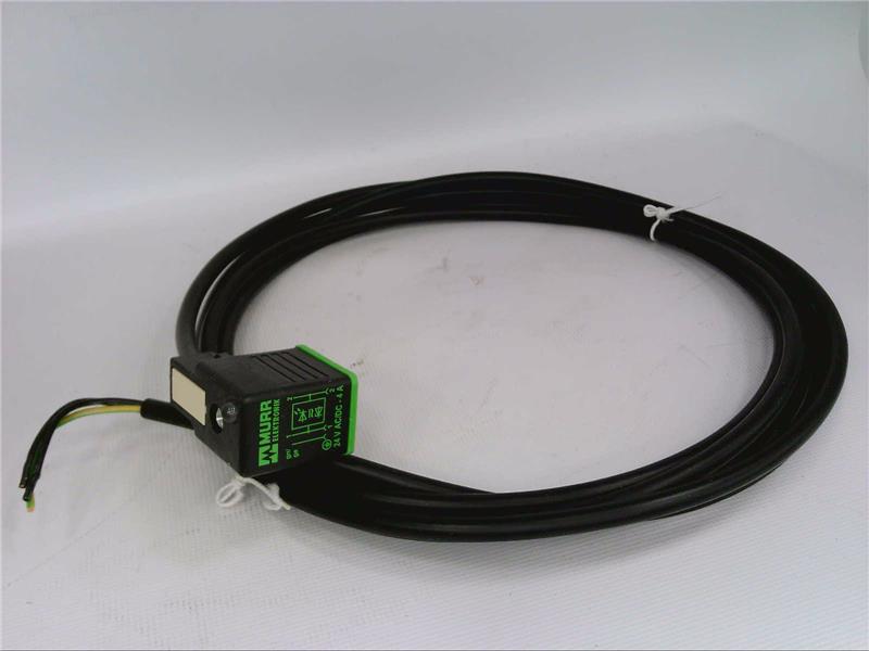7000-11081-6160300 Plug/Receptacle by MURR ELEKTRONIK